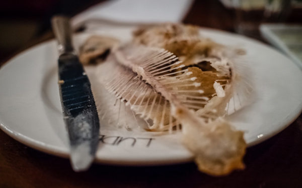 Fisch entgräten: Eine einfache Schritt-für-Schritt-Anleitung - Wissensstoff